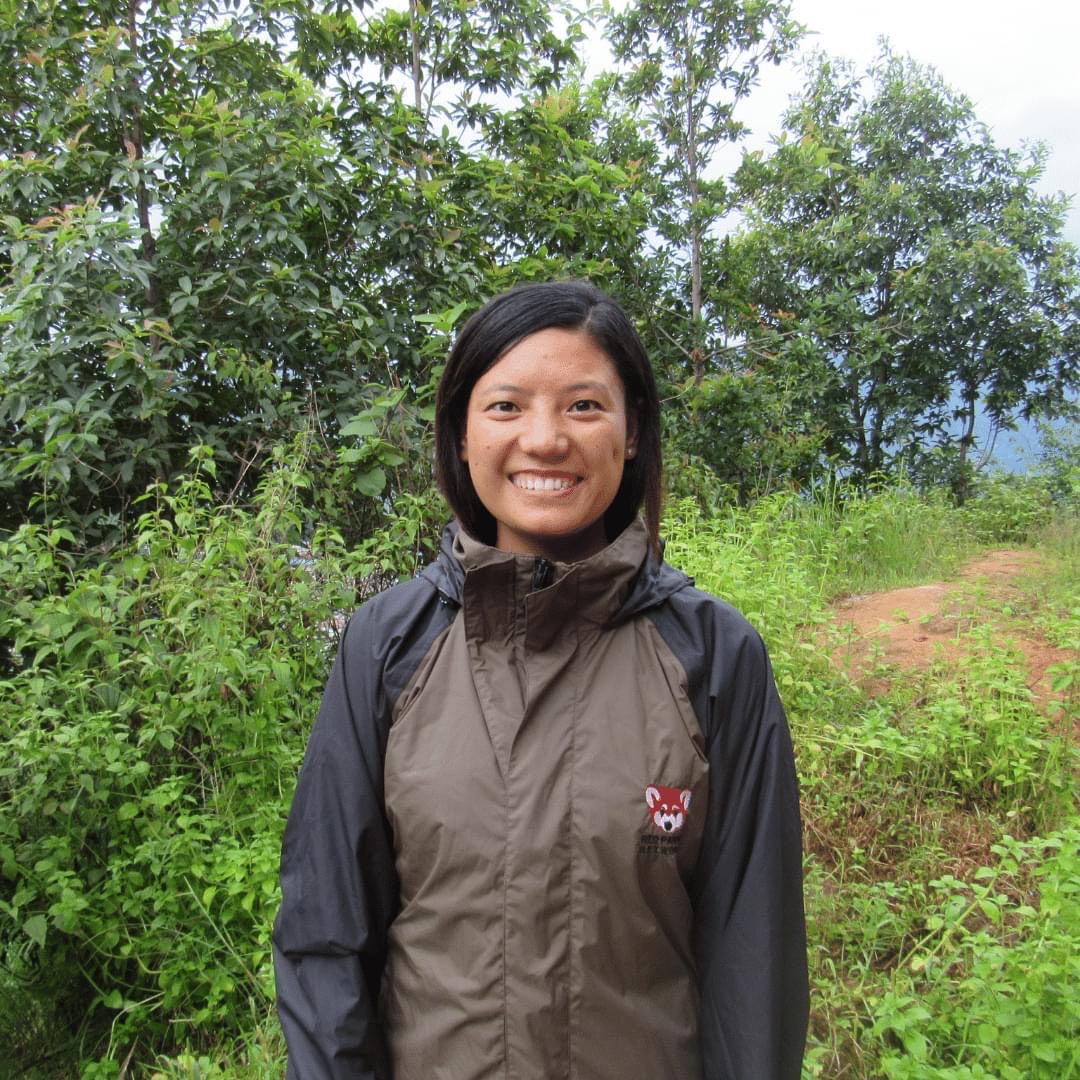 World Environment Day: Advancing environmental restoration in South Asia - Australia Awards ...