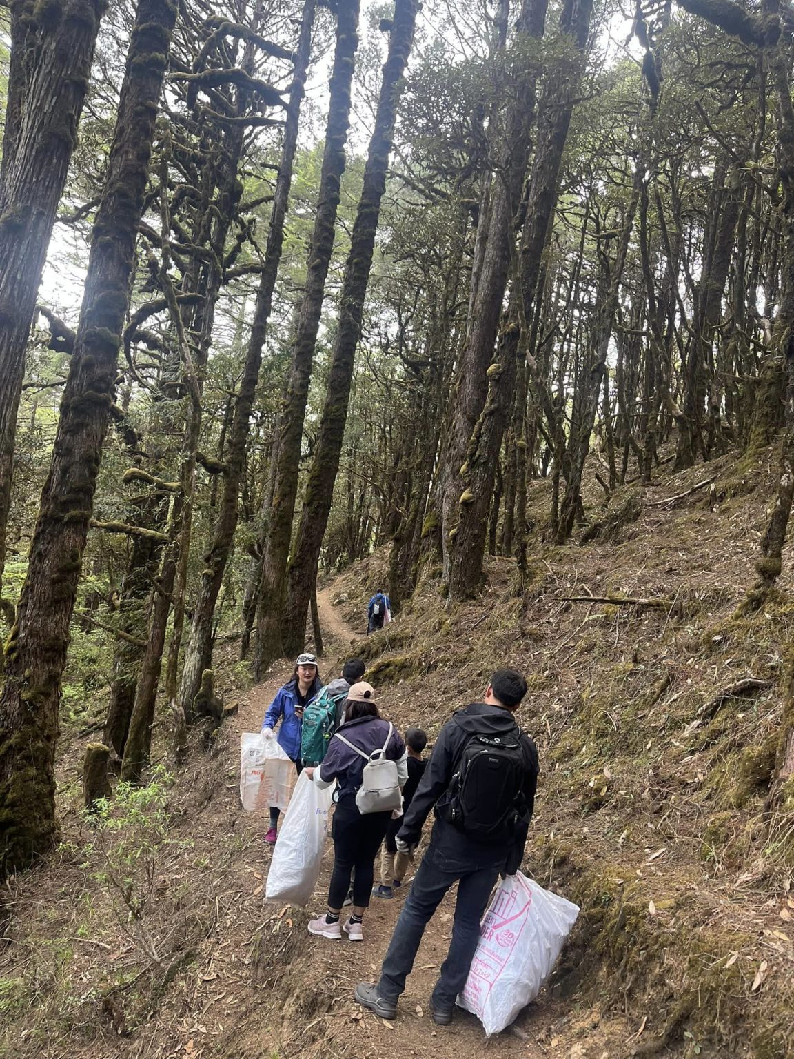 Bhutan Australia Alumni Association marks World Environment Day with a ...