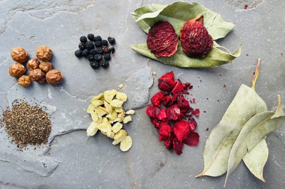 NAIDOC Week 2023: A Taste of First Nations Culture - Australia Awards ...